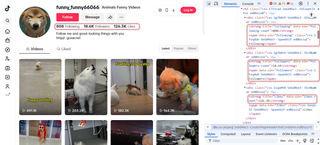How to Scrape TikTok with Python | HasData